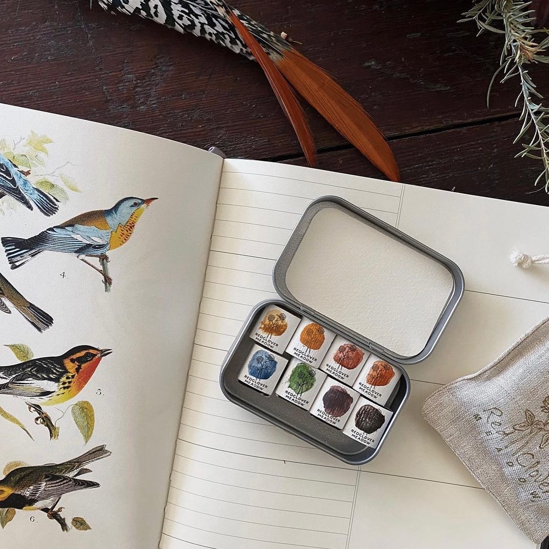 New Arrivals – Peregrine Store