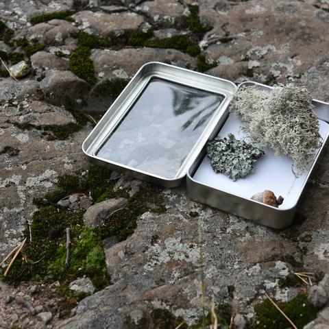 Specimen Collecting Kit – Peregrine Store